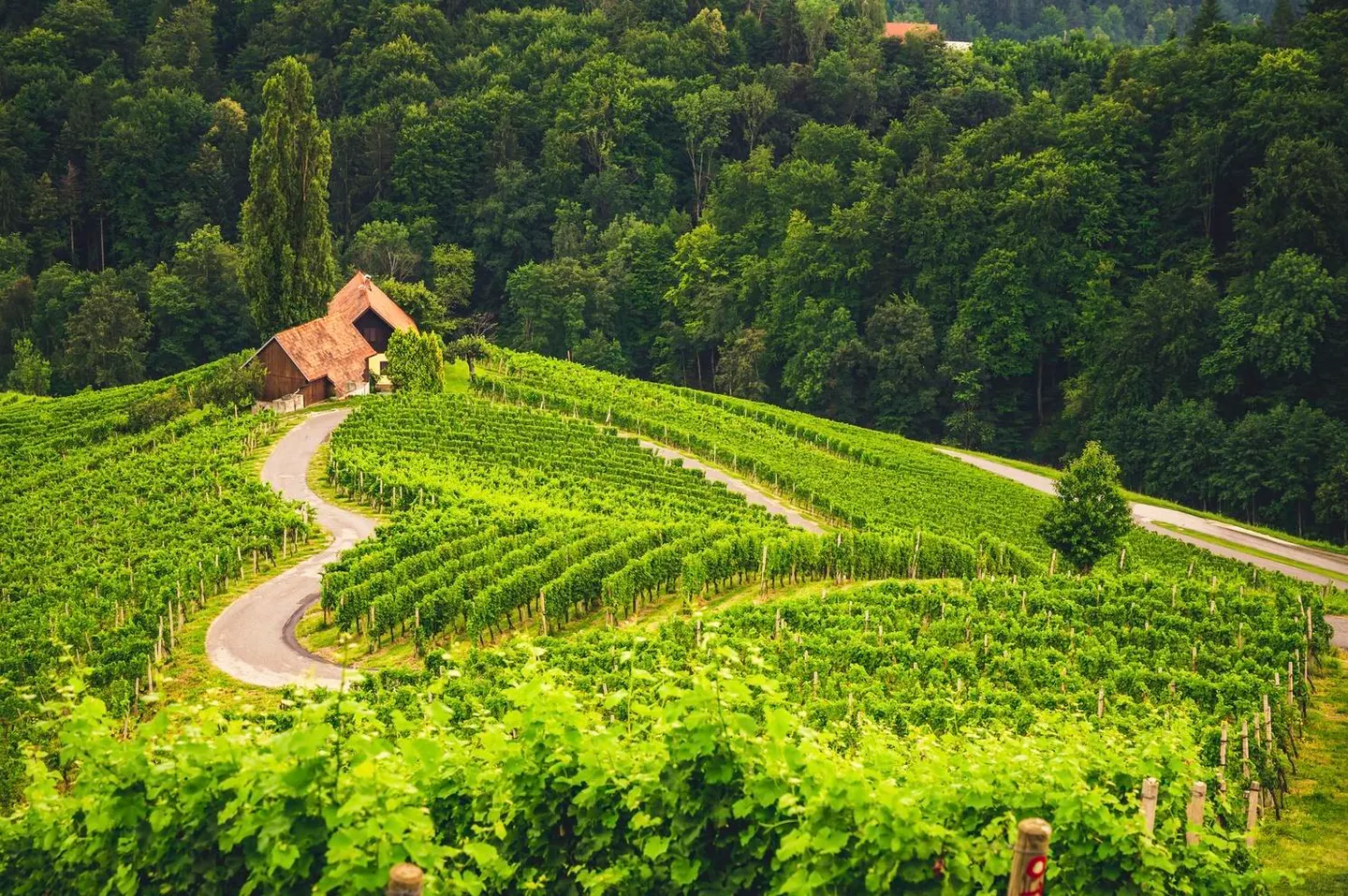 Europe’s 10 Greenest Capitals: Sustainable City Breaks For 2025 ...